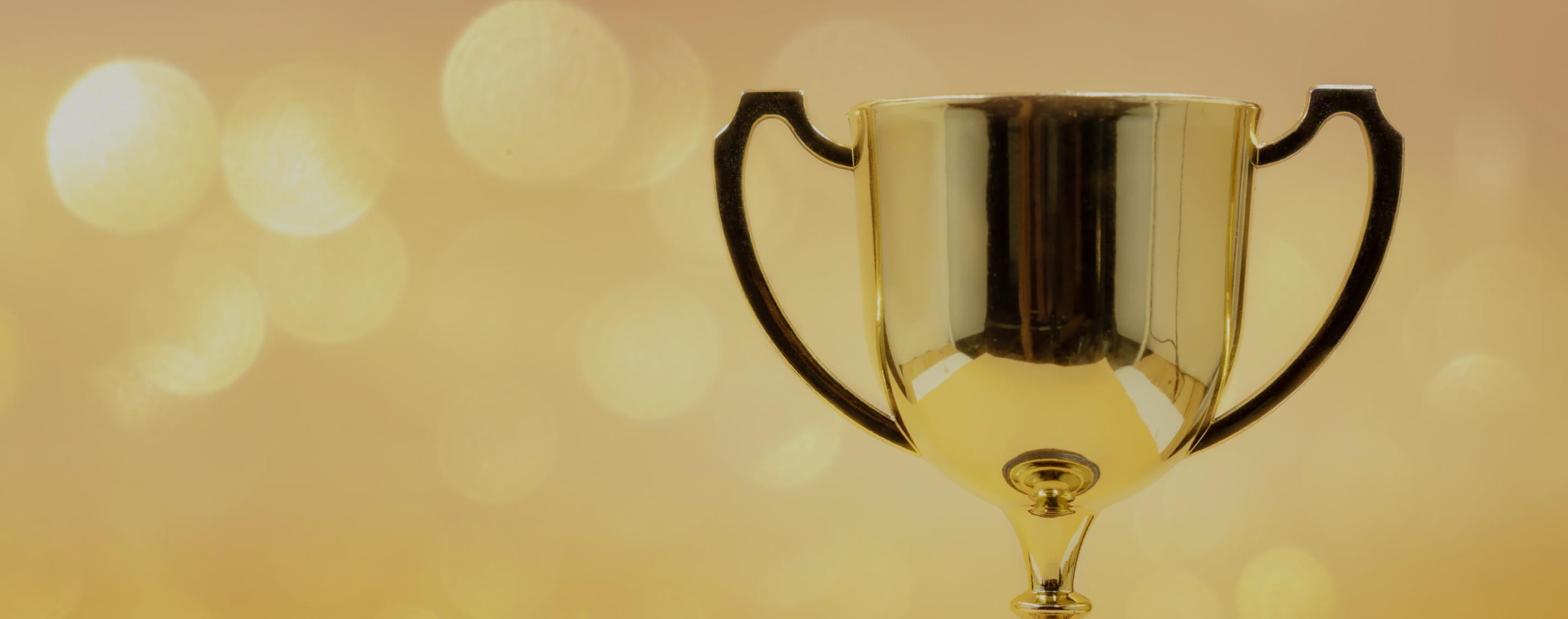 Awards And Recognition - Thal Limited
